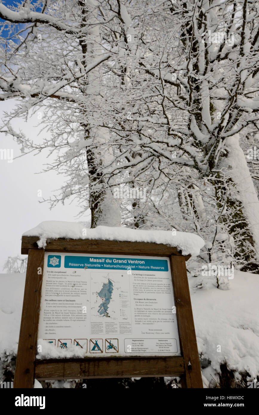 Natural Reserve of the Grand Ventron in winter - Vosges France Stock ...