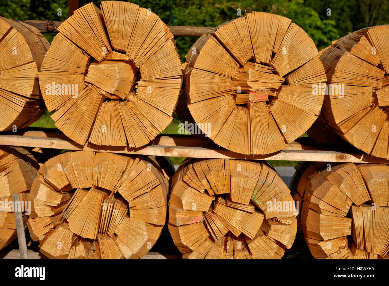 Shingles spruce - Alpes France Stock Photo - Alamy