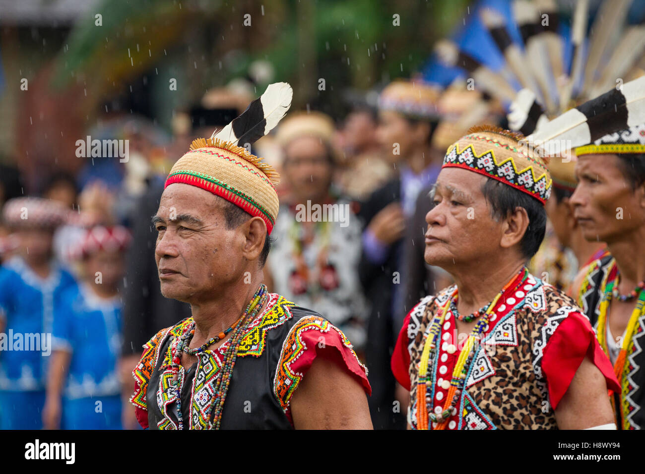 Dayak Men High Resolution Stock Photography and Images - Alamy