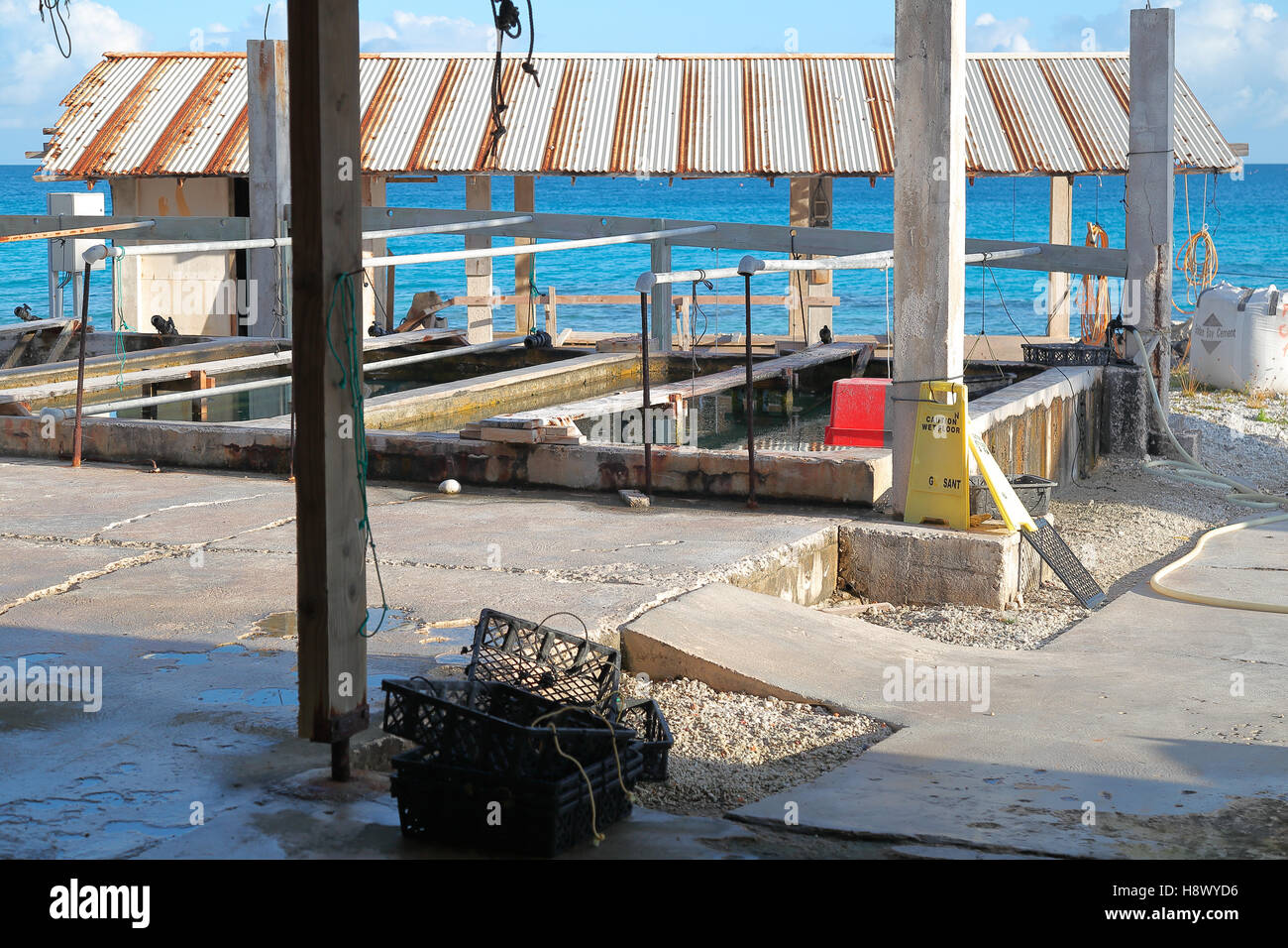 Pearl farming hi-res stock photography and images - Alamy
