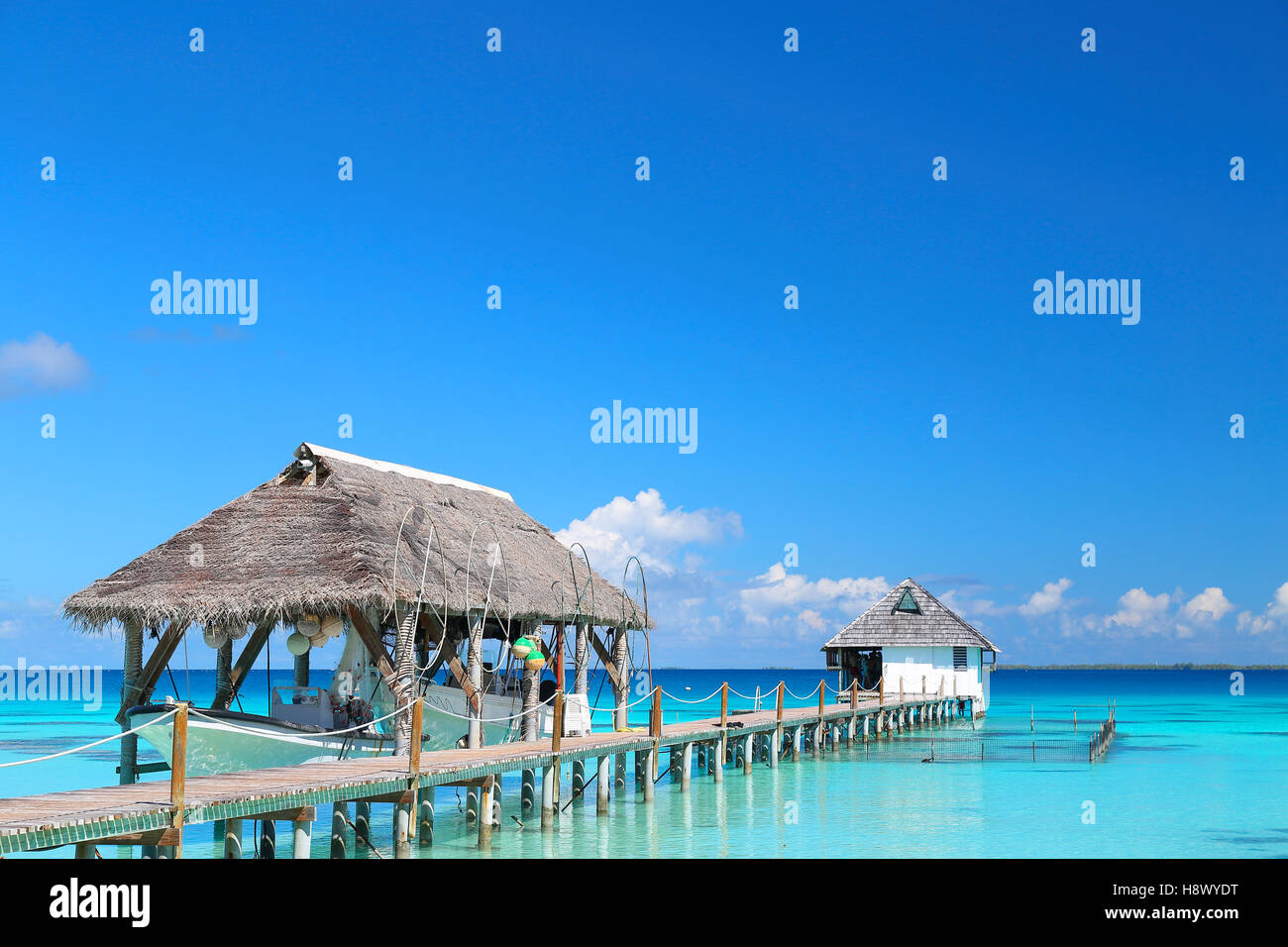 Pearl farming tahiti hi-res stock photography and images - Alamy