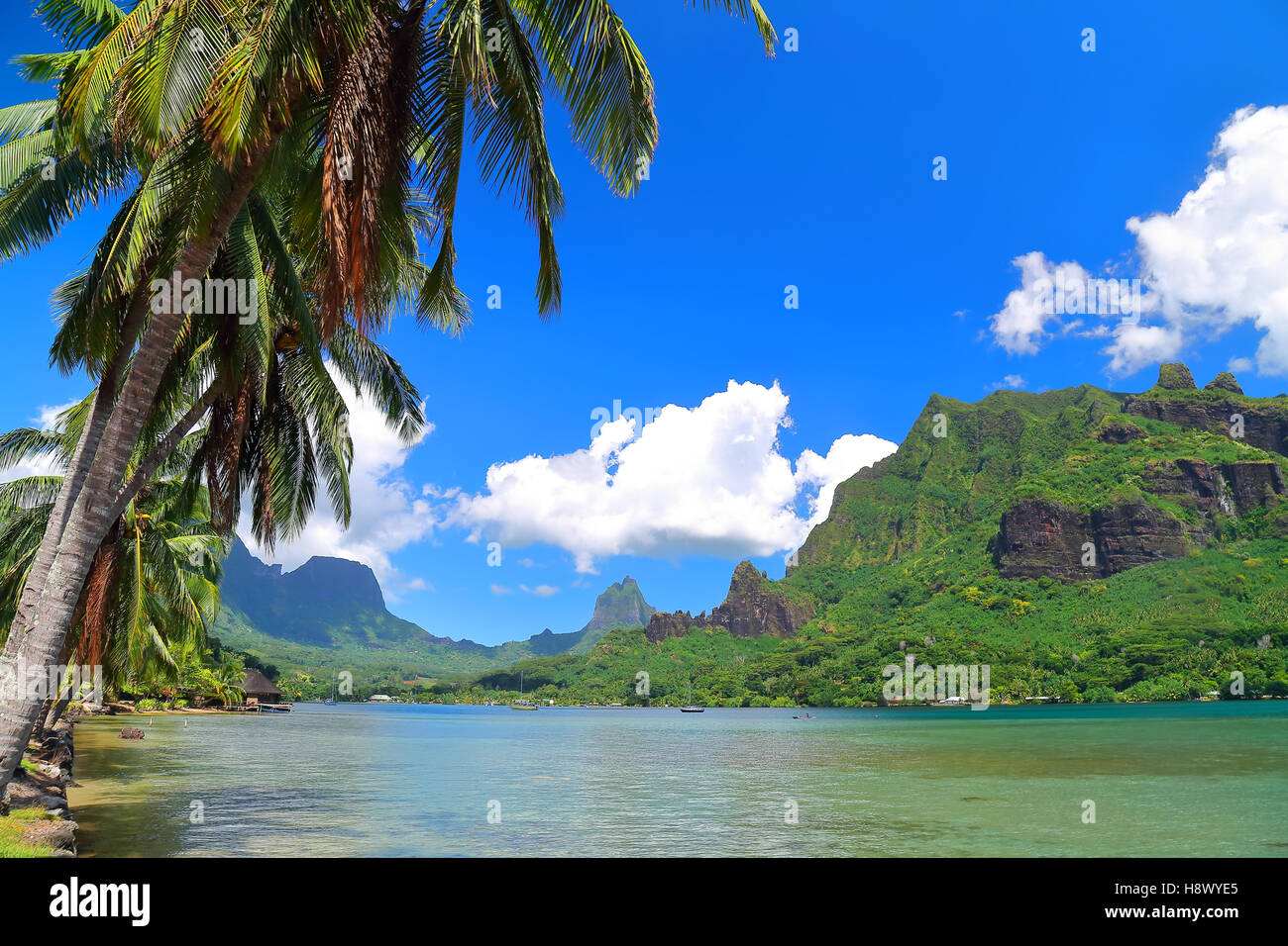 Cook's Bay - Moorea French Polynesia Stock Photo - Alamy