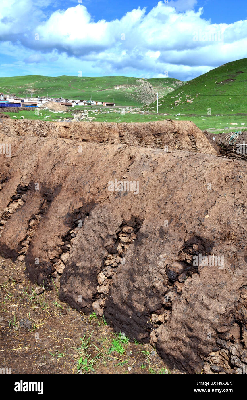Drying yak dung - Tibet China Stock Photo - Alamy