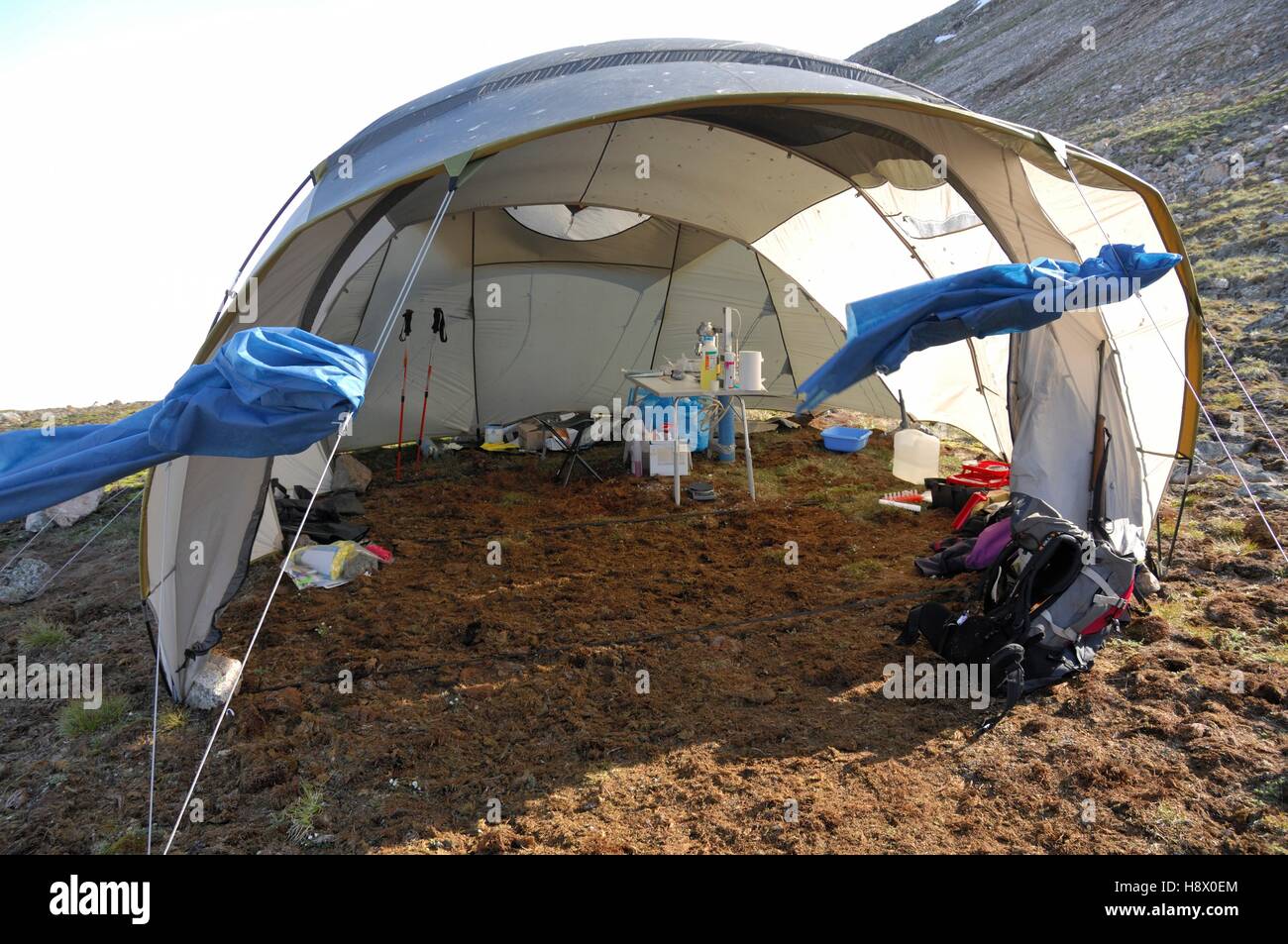 Surgical tent to anesthetize and operate auks - Greenland Stock Photo ...