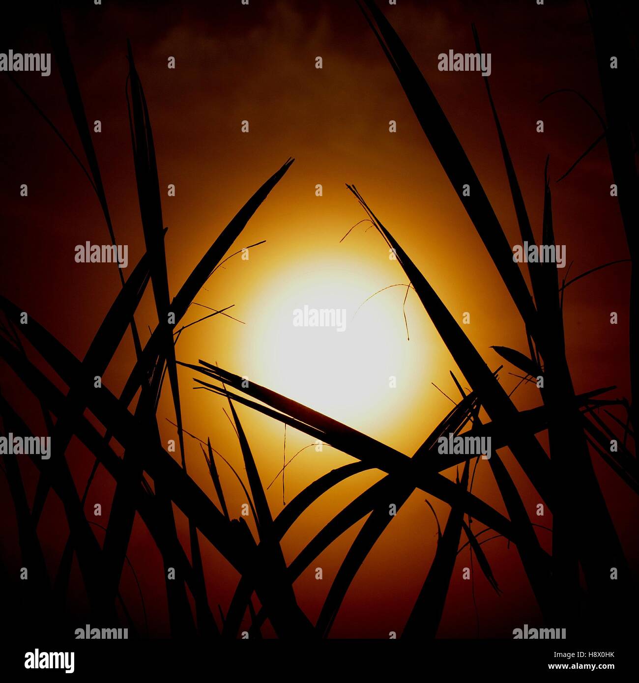 Abstract climate hi-res stock photography and images - Alamy