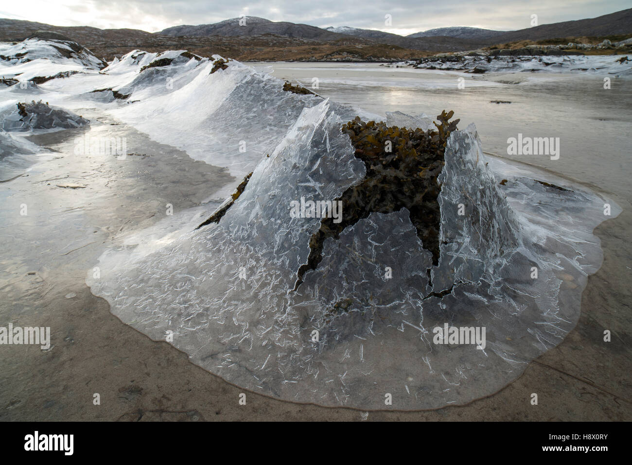Ice algae at low tide in winter - Harris Hebrides Stock Photo - Alamy