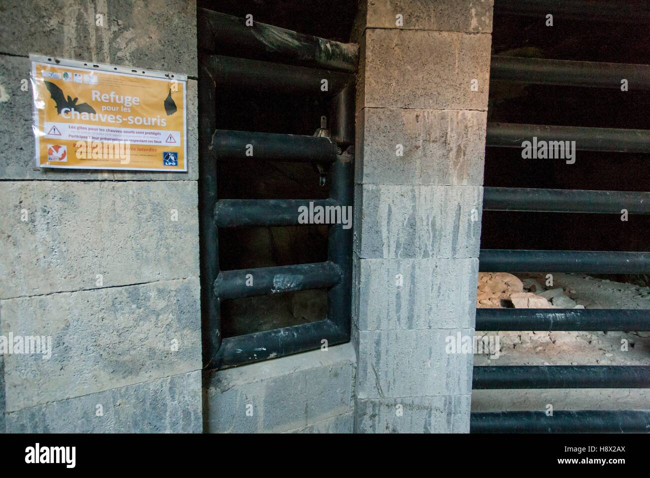 Layout of the entrance to an underground shelter for bats - Annual ...