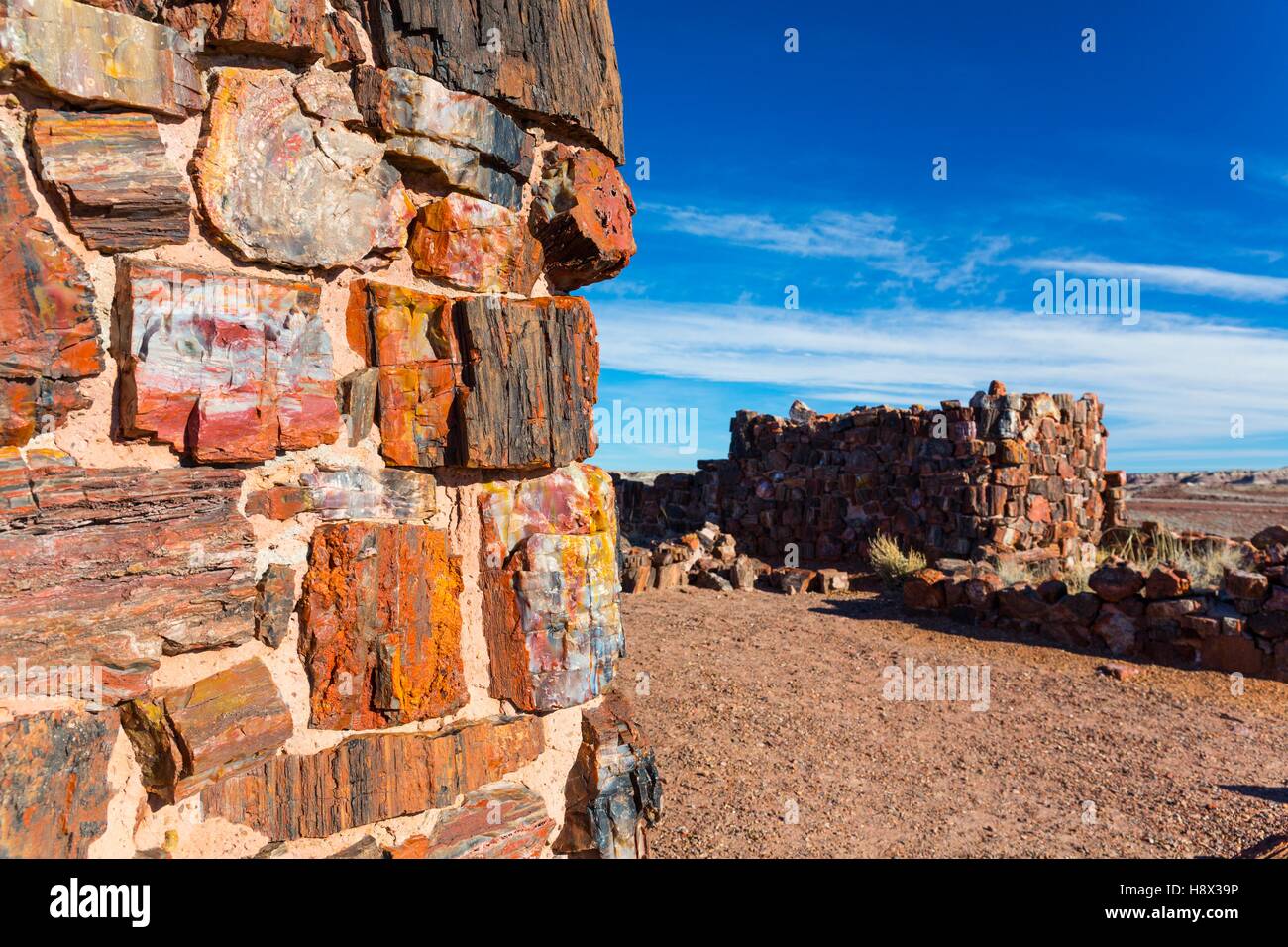 Agate house, Petrified Forest National Park, Arizona, USA, America ...