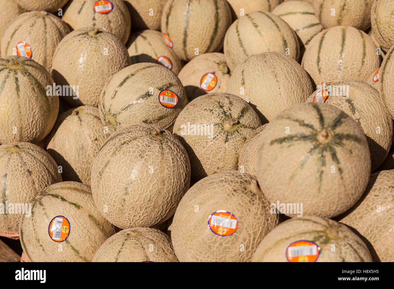 French melon hi-res stock photography and images - Alamy