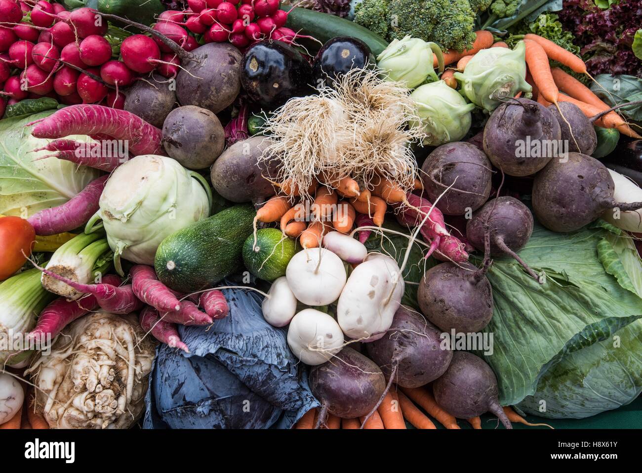 Vegetable mix with leeks , carrots, cucumbers , cabbage, radishes ...