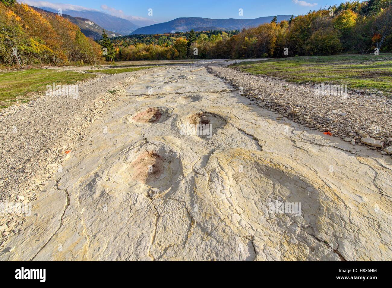 Sauropod footprints in Plagne in the Jura Ain France . Footprints left ...