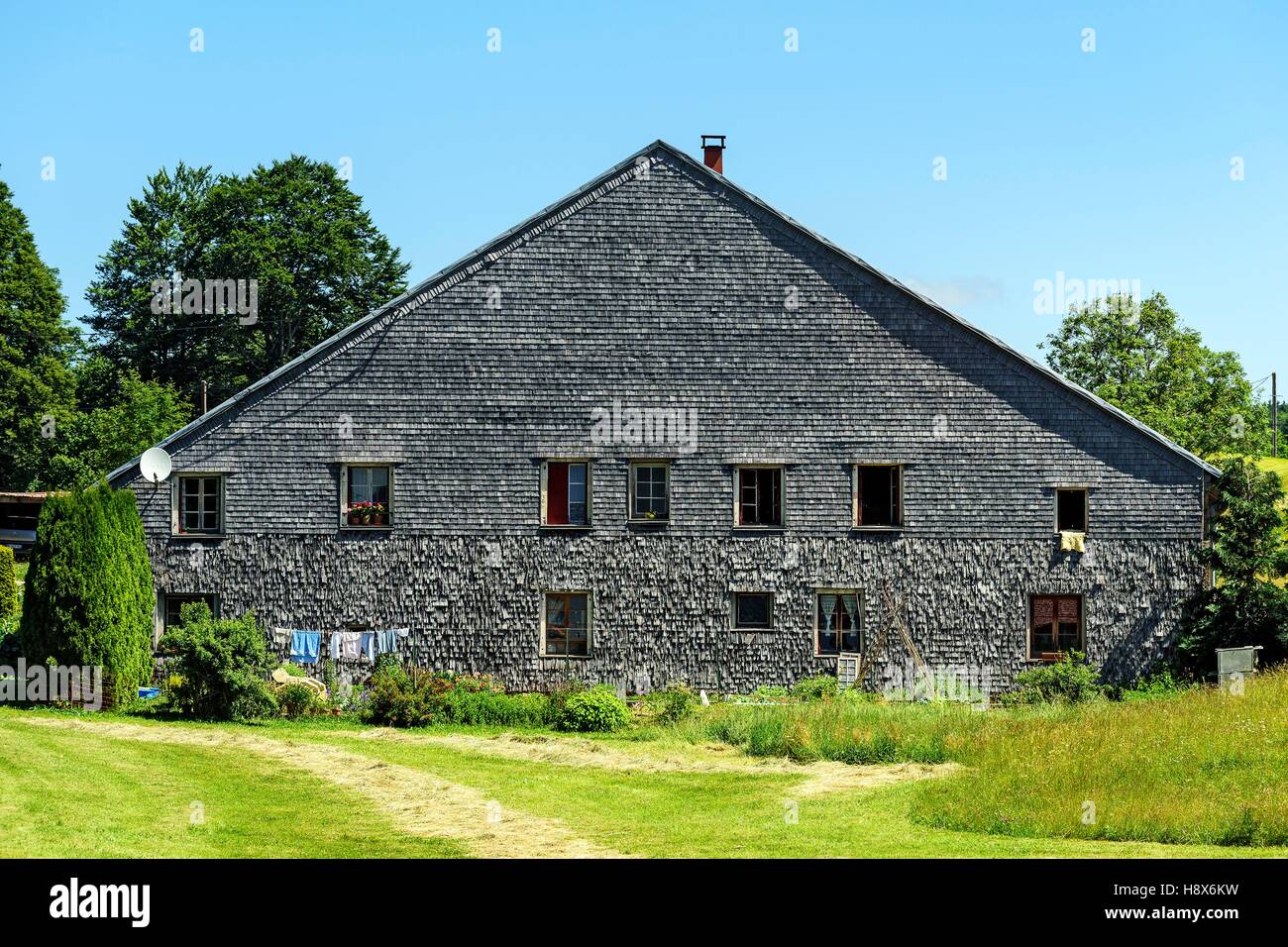 Shingles in spruce on the wall of a farm Jura the shingles spruce blade ...
