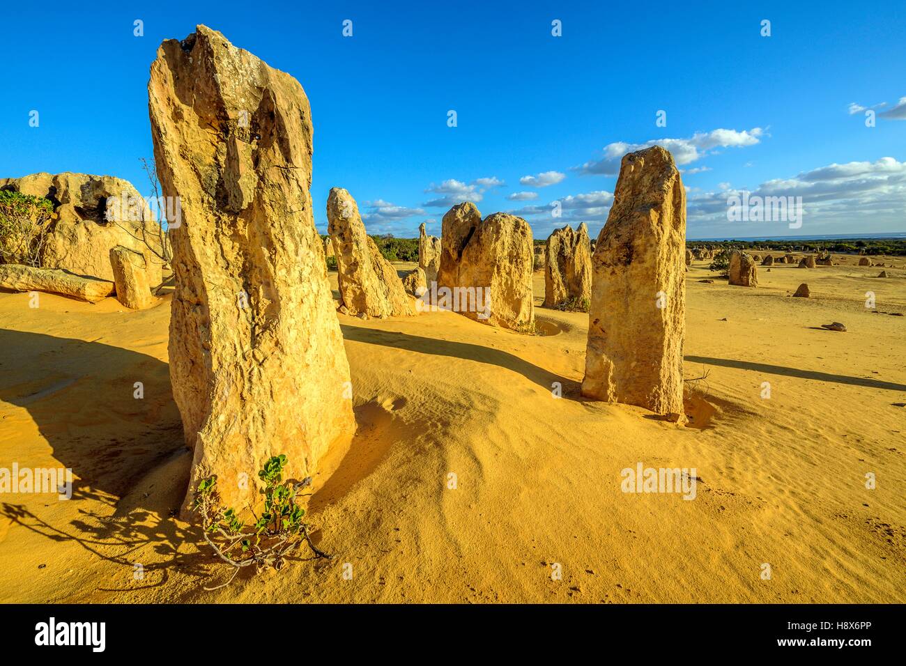 The Pinnacles Nambung National Park Western Australia calcareous ...
