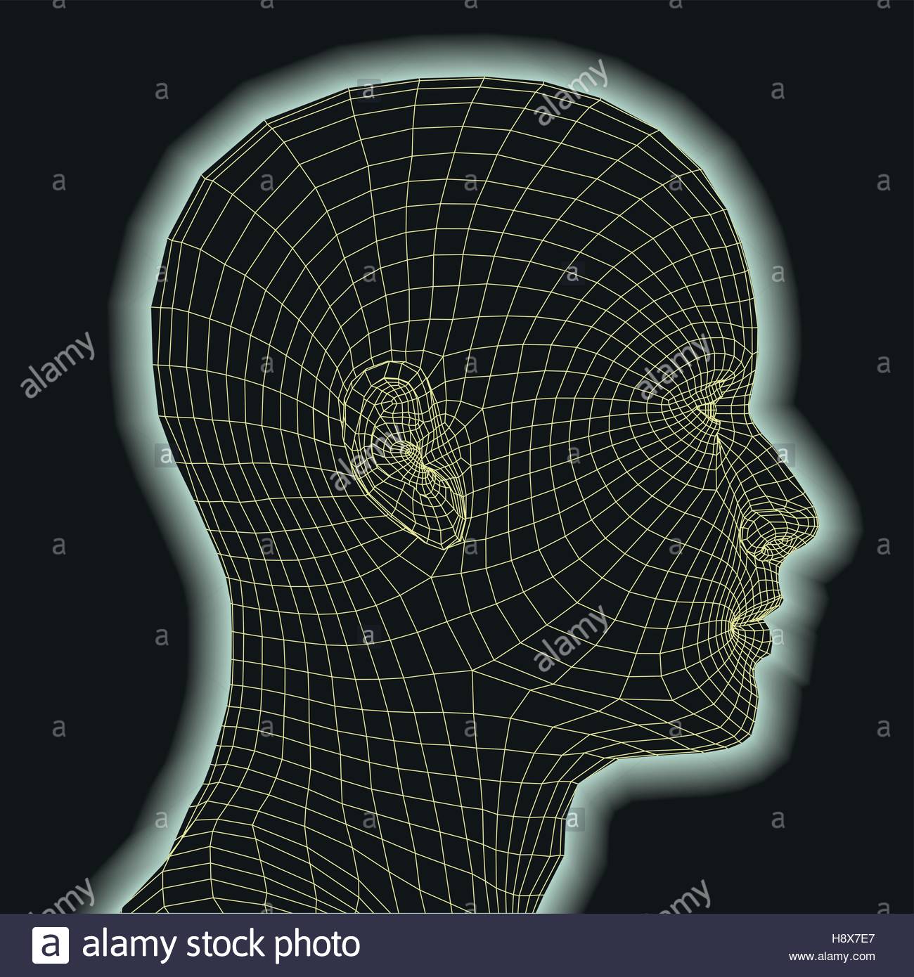 Human Head Wireframe Stock Photos & Human Head Wireframe Stock Images ...