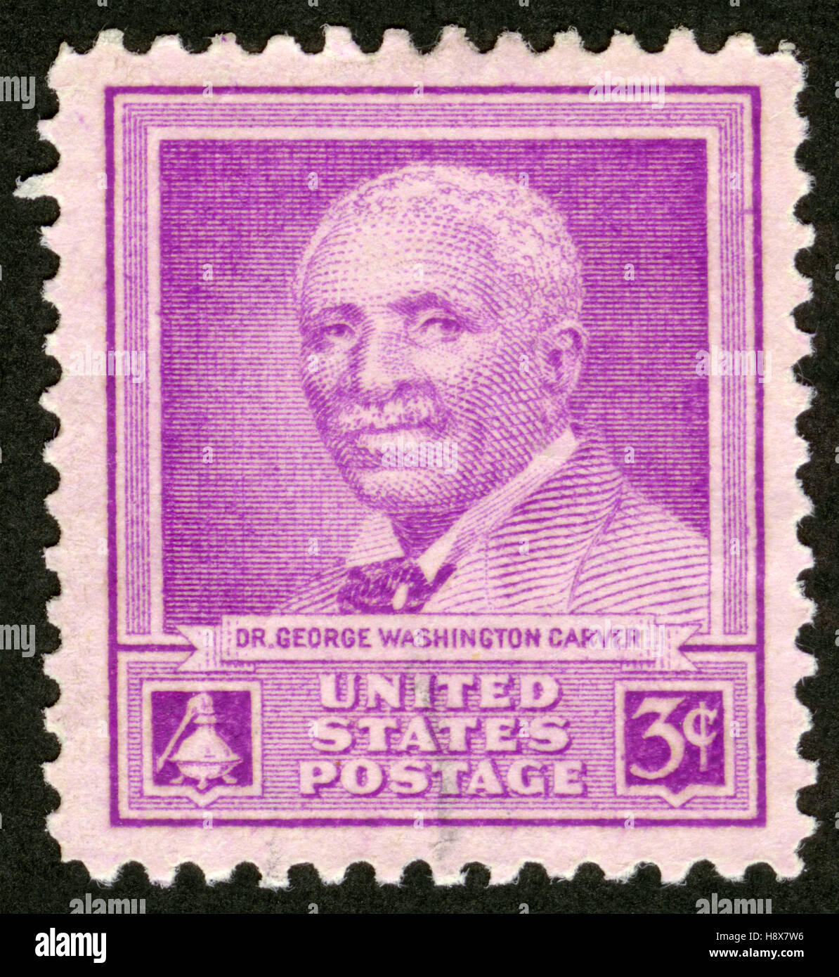 Mycologist hi-res stock photography and images - Alamy