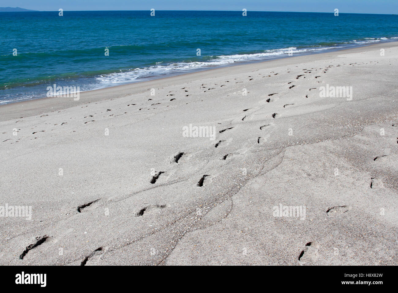 Beach footprints hi-res stock photography and images - Alamy