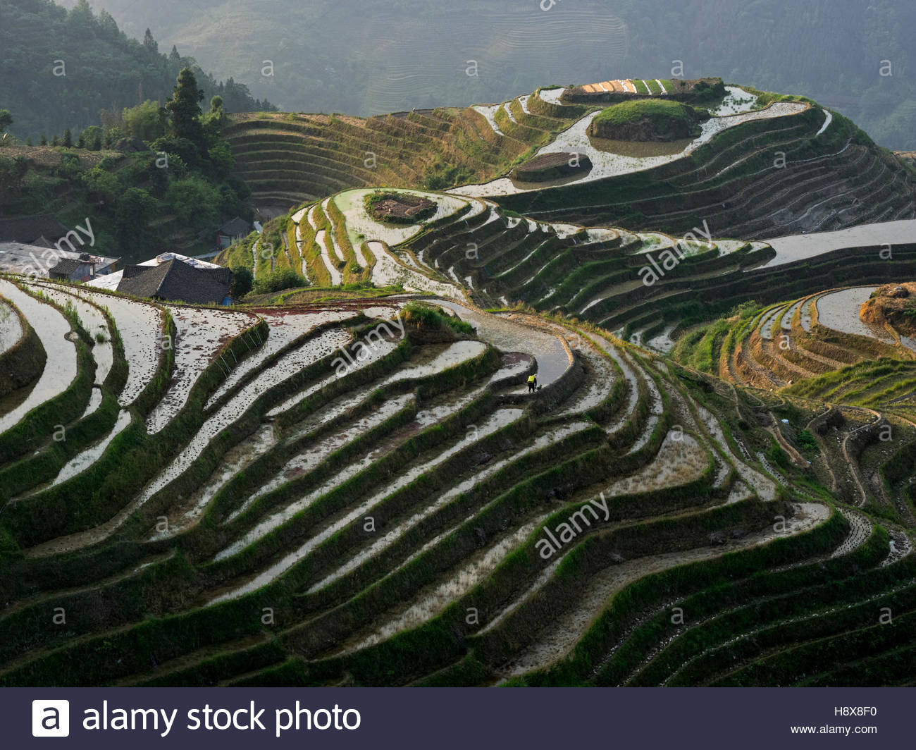 Pingan Stock Photos & Pingan Stock Images - Alamy