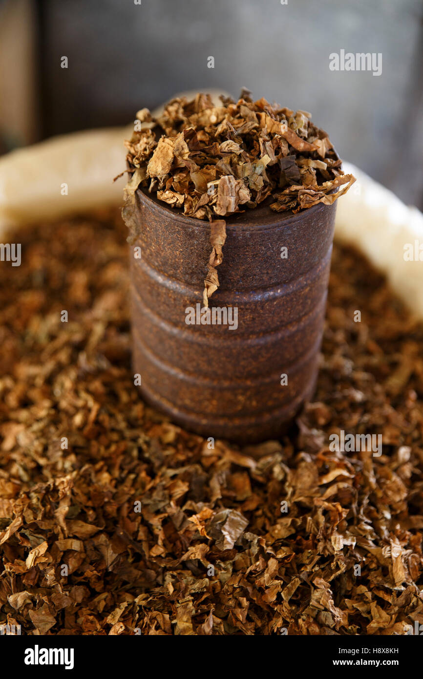 Raw Tobacco High Resolution Stock Photography and Images - Alamy