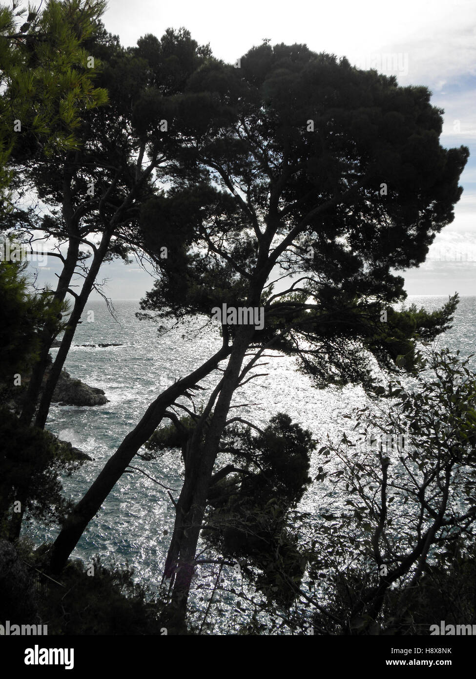 Tourism dubrovnik hi-res stock photography and images - Alamy