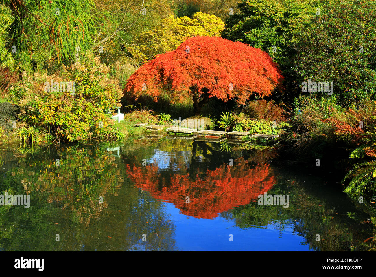 Reflected colours in pond hi-res stock photography and images - Alamy