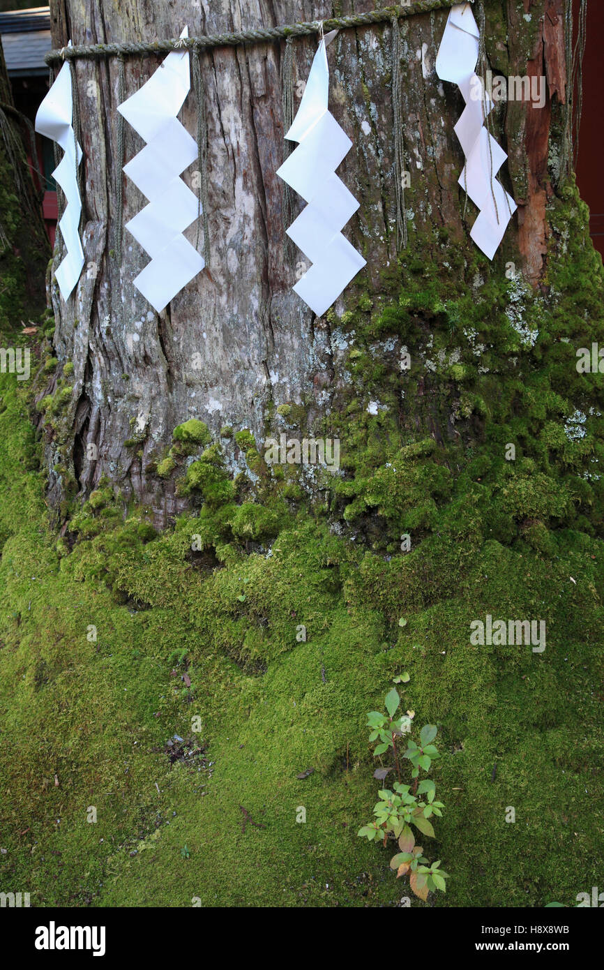 Japan, Nikko, Futarasan Shinto Shrine, gohei, paper offerings Stock ...