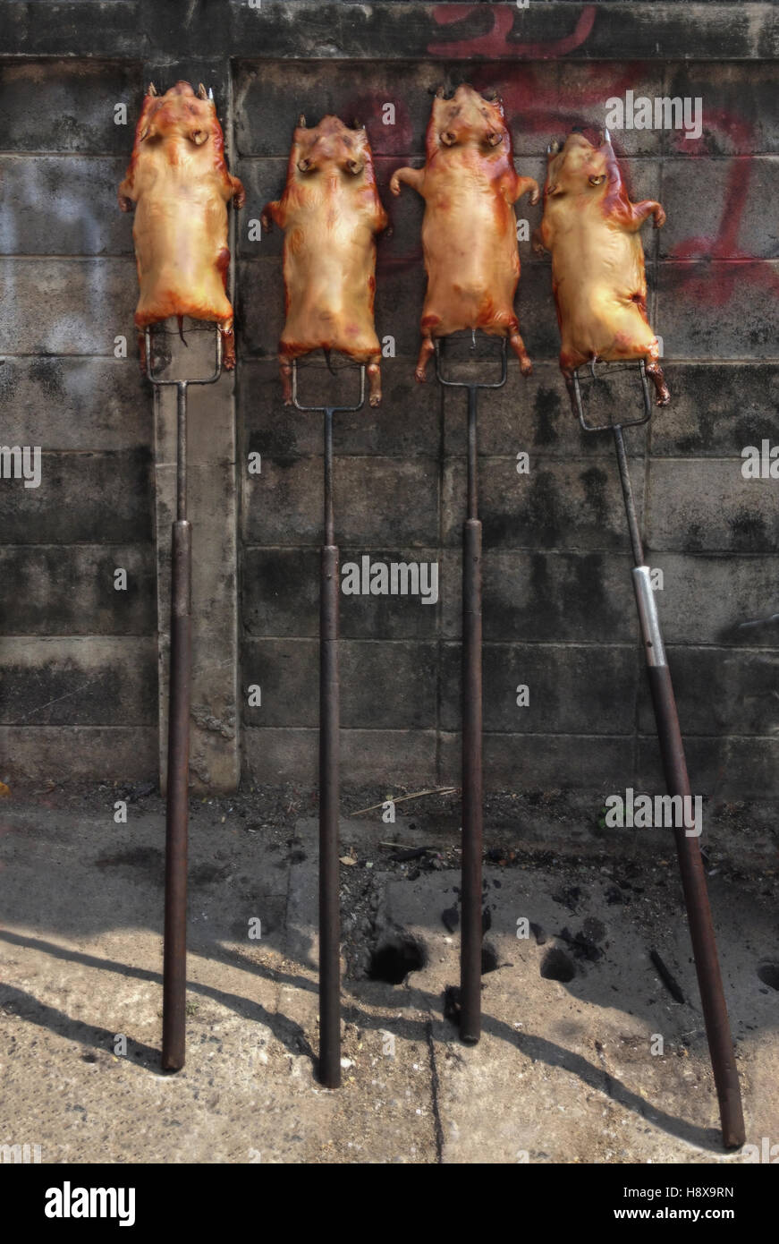 Roasted whole suckling pigs Stock Photo - Alamy