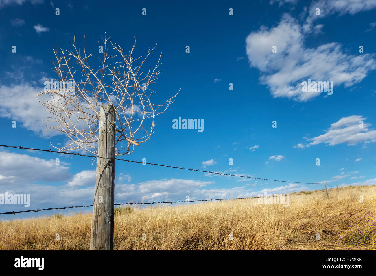 Tumbleweed fence hi-res stock photography and images - Alamy