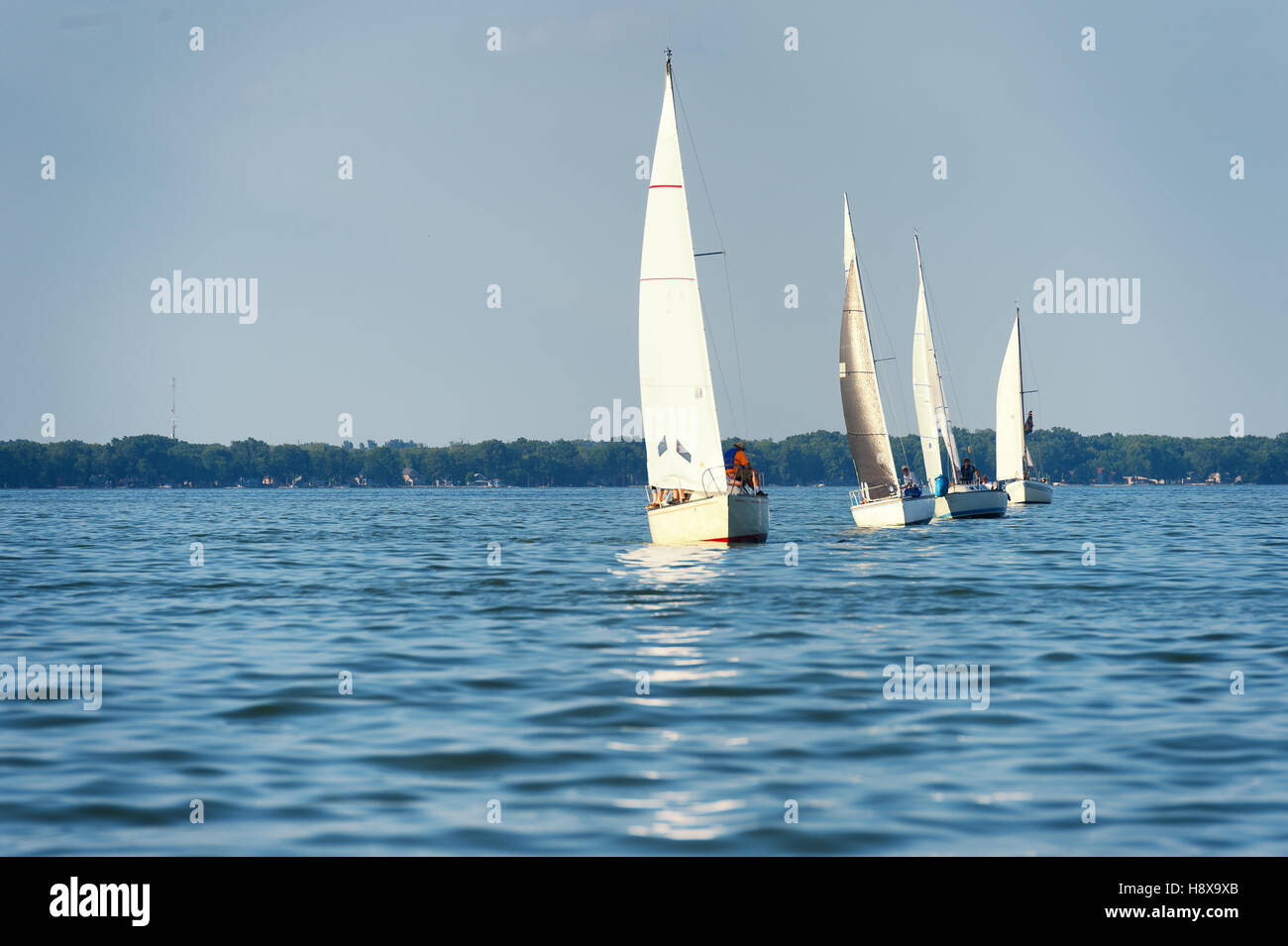 Four sailboats form a line while racing Stock Photo - Alamy