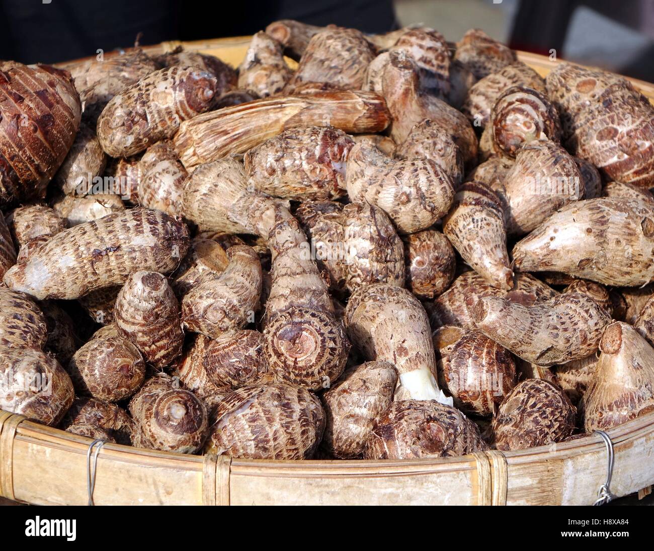 Taro Roots Stock Photos & Taro Roots Stock Images - Alamy
