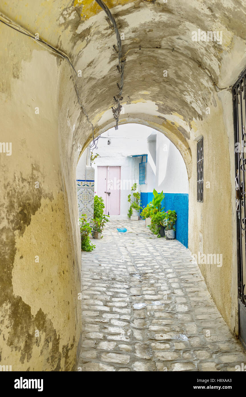 The streets of Medina consist of the maze of the narrow ways, long ...
