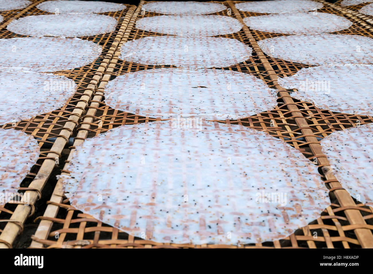 Drying out rice hi-res stock photography and images - Alamy