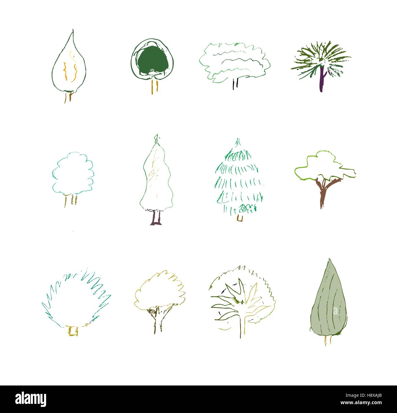 A collection of natural elements with grunge. Vector Stock Vector Image ...