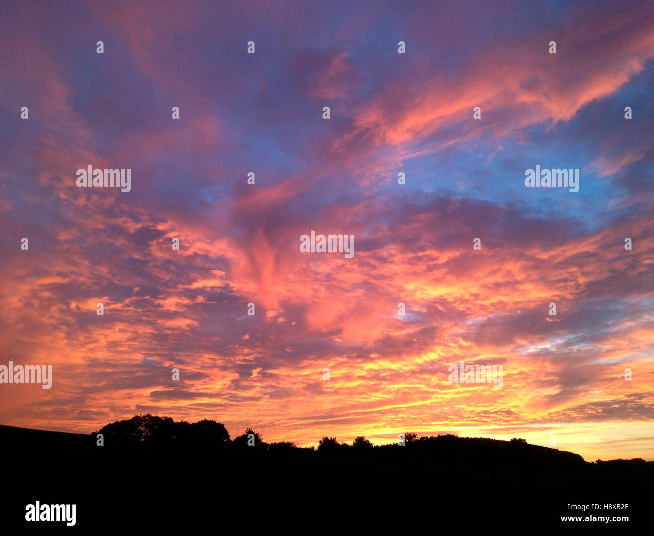 The warren, hay on wye hi-res stock photography and images - Alamy
