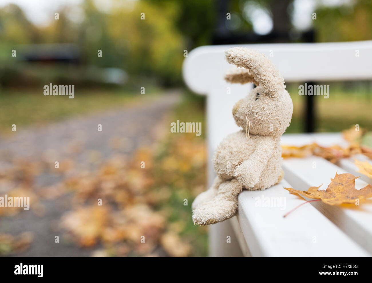 toy rabbit on bench in autumn park Stock Photo - Alamy