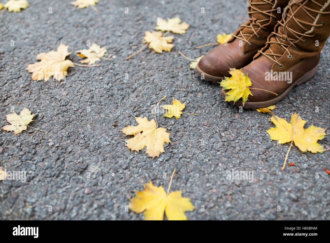 female feet in boots and autumn leaves Stock Photo - Alamy