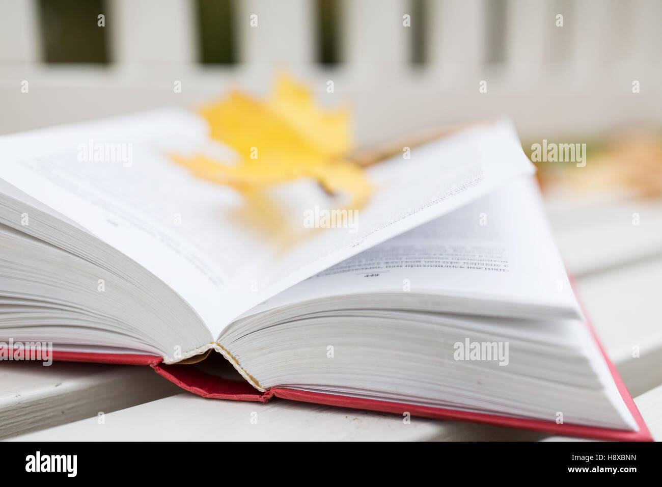 Open book on bench in hi-res stock photography and images - Alamy