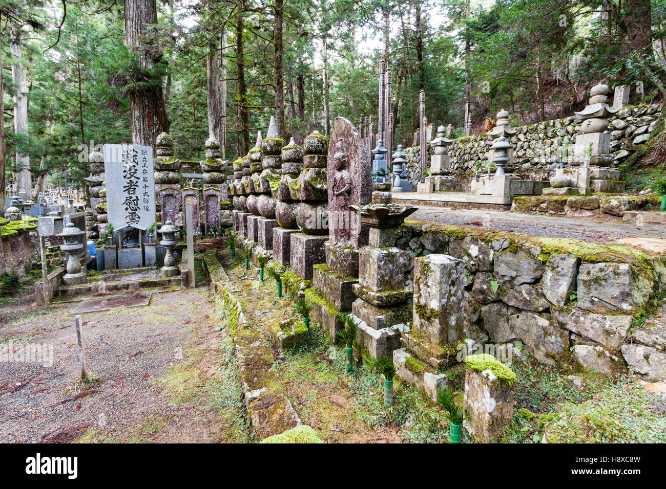 Japan, Koyasan, Okunoin ancient cemetery. Terraced row of gorinto, five ...