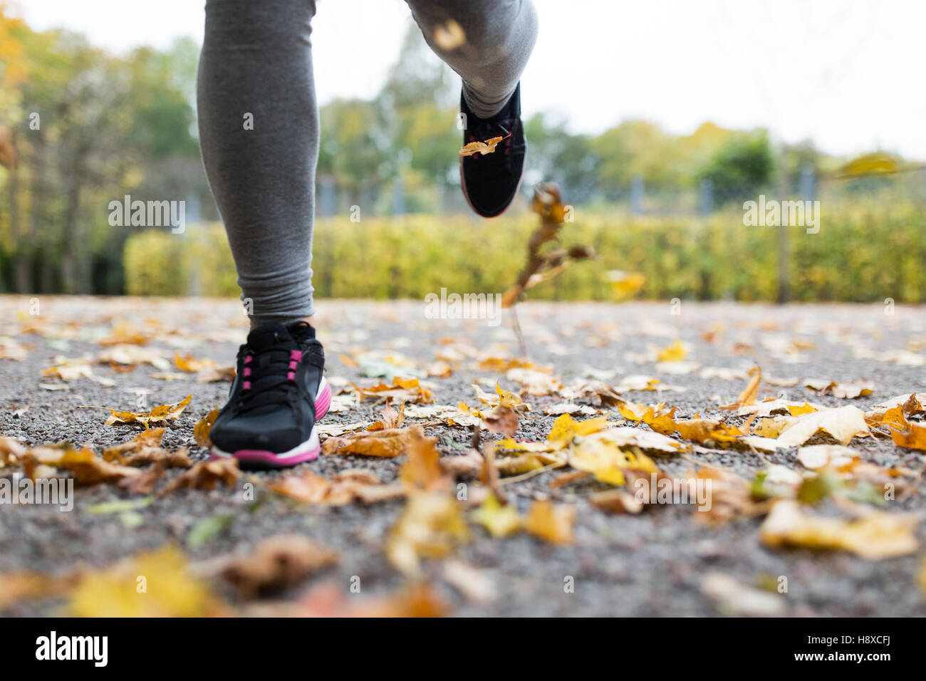 close up of young woman running in autumn park Stock Photo - Alamy