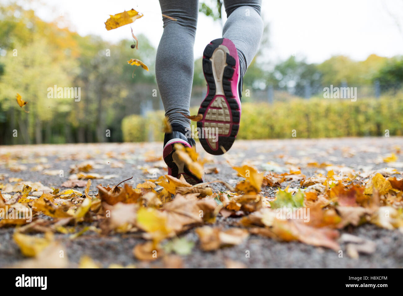 close up of young woman running in autumn park Stock Photo - Alamy