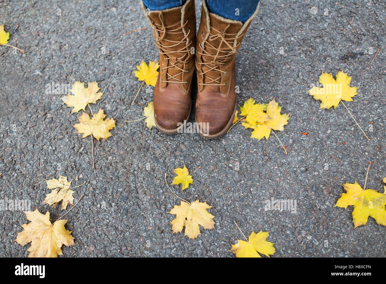 female feet in boots and autumn leaves Stock Photo - Alamy