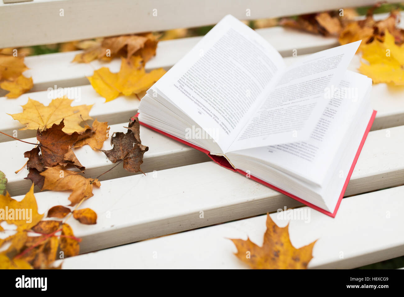 open book on bench in autumn park Stock Photo - Alamy
