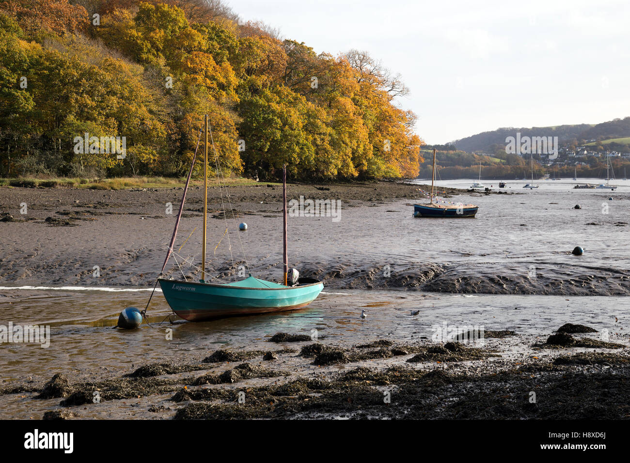 stoke gabriel,south hams devon,river dart, creek of river Dart at Stoke ...