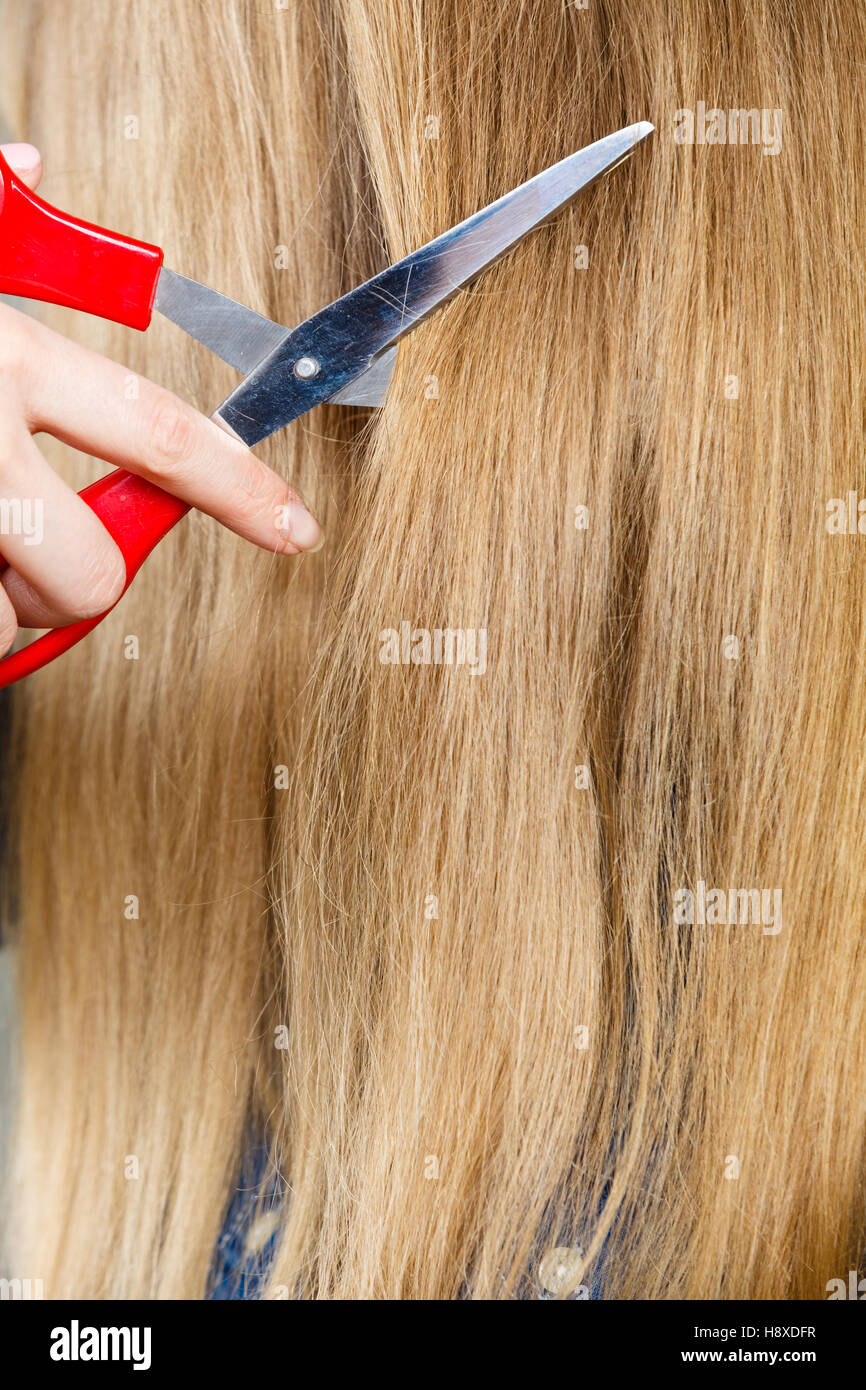 Professional and perfect image change. Close up of red big scissors ...