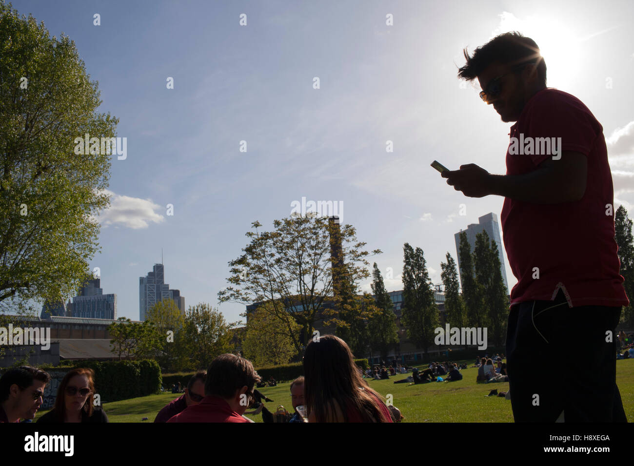 AA man in a park looks at his mobile phone Stock Photo - Alamy