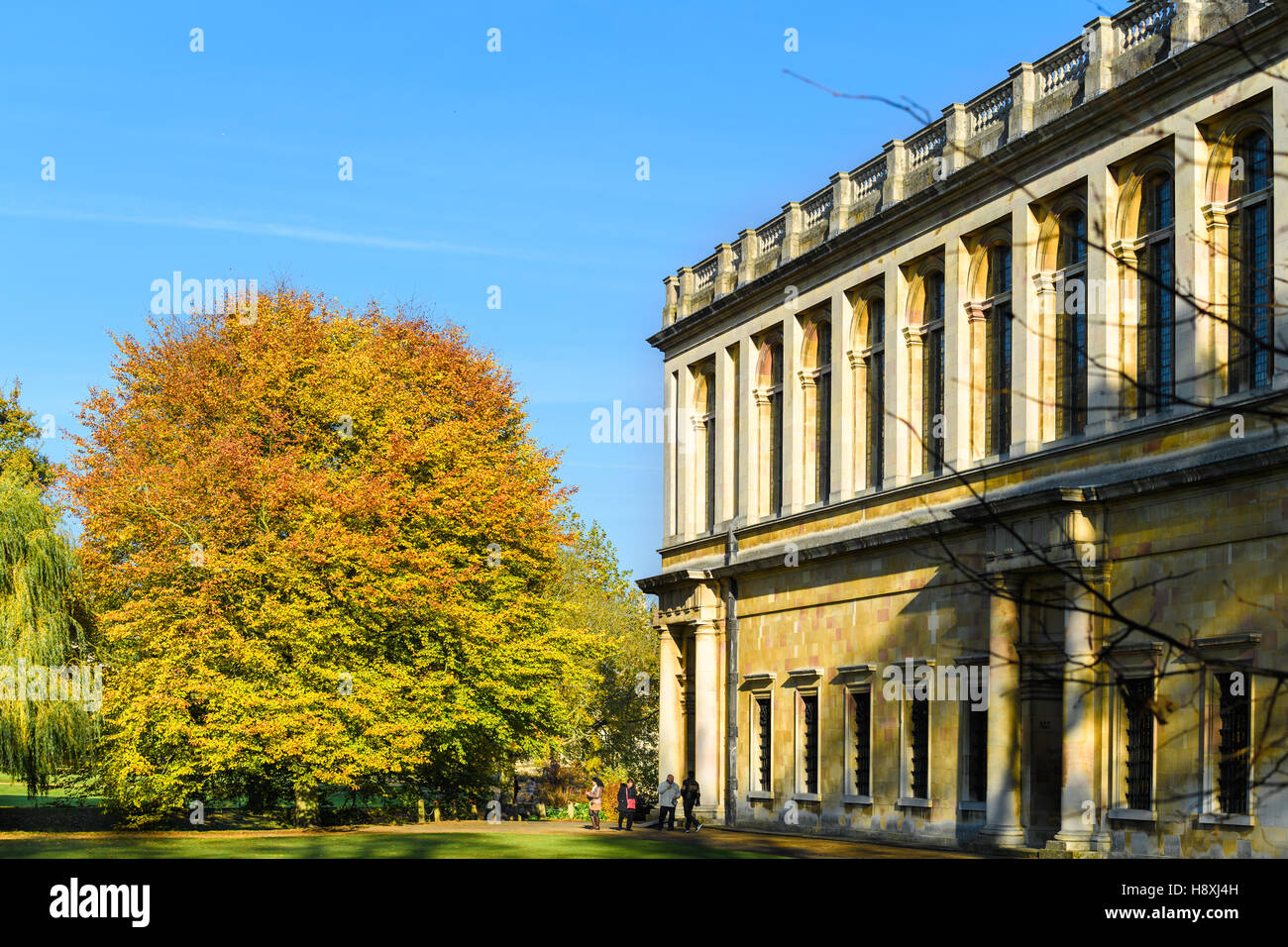 Wren library at Trinity college, university of Cambridge, England Stock ...