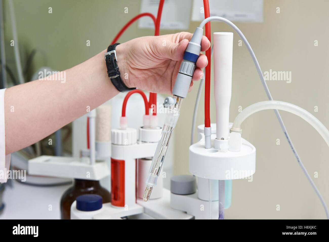 Research of biological material in the biochemical laboratory Stock ...