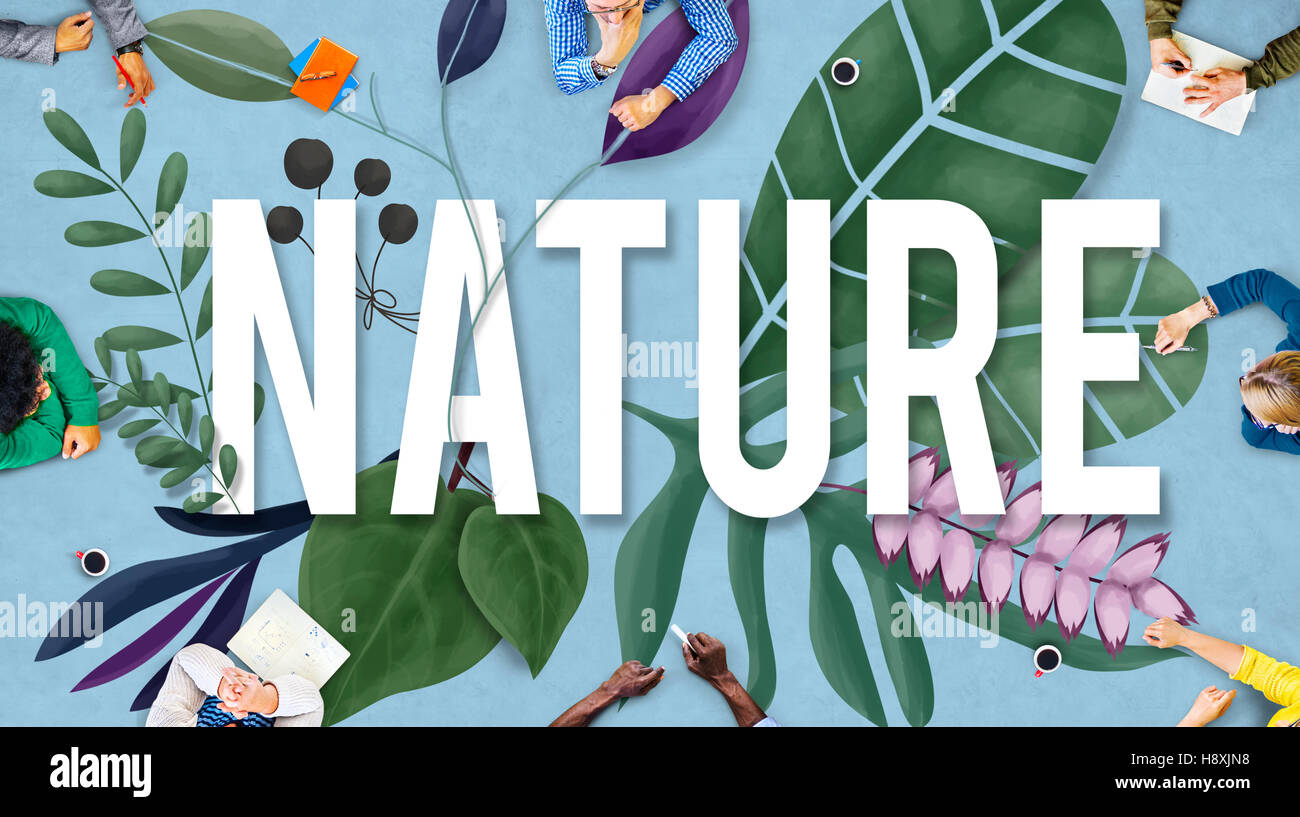 Nature Environment Green Earth Growth Natural Concept Stock Photo - Alamy
