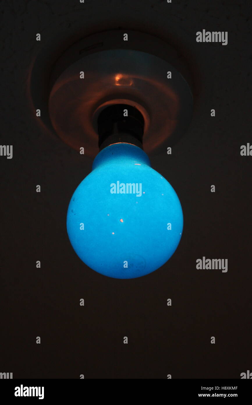 blue lit light bulb fitted to the ceiling Stock Photo - Alamy