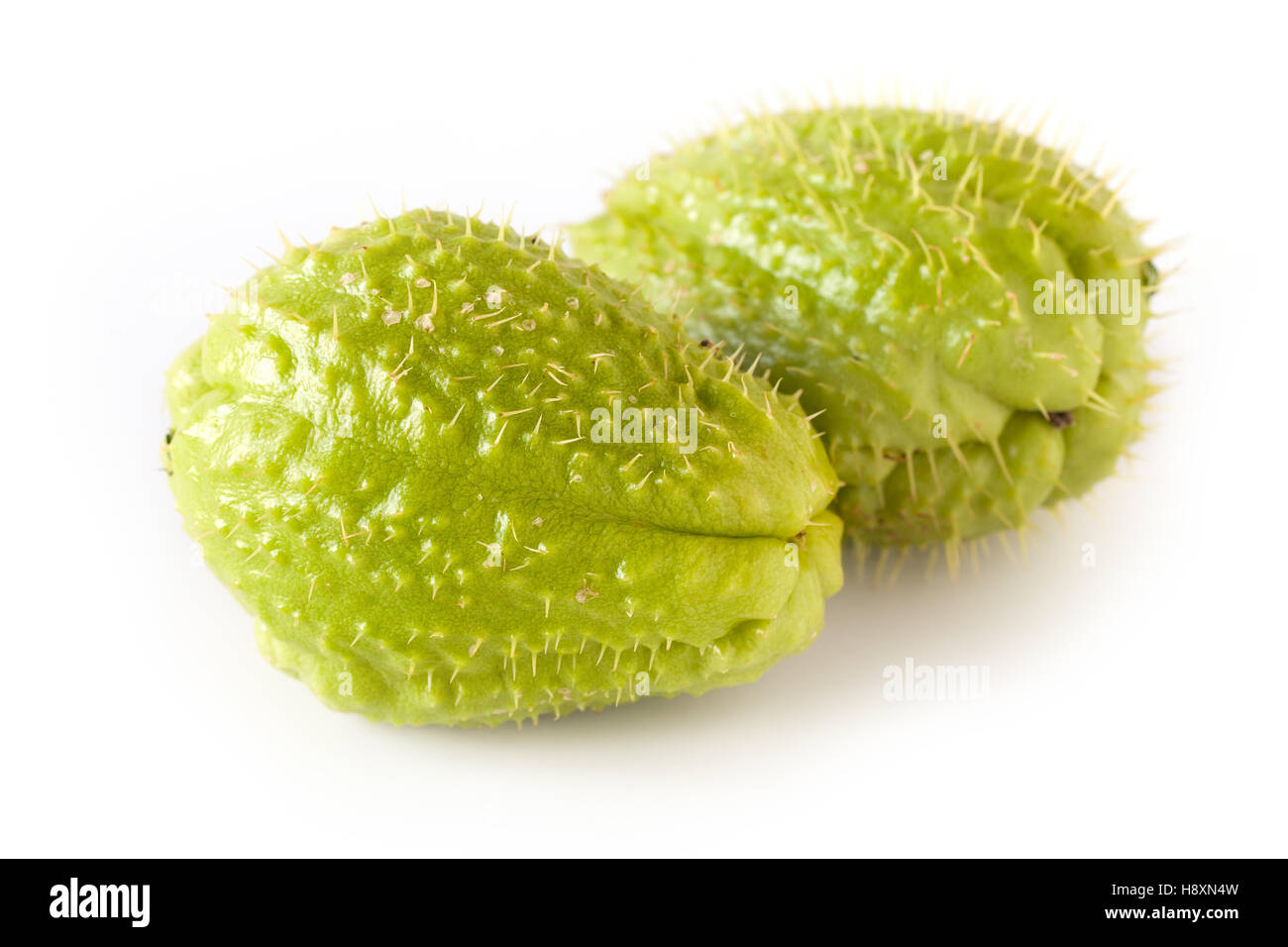Christophene Stock Photos & Christophene Stock Images - Alamy