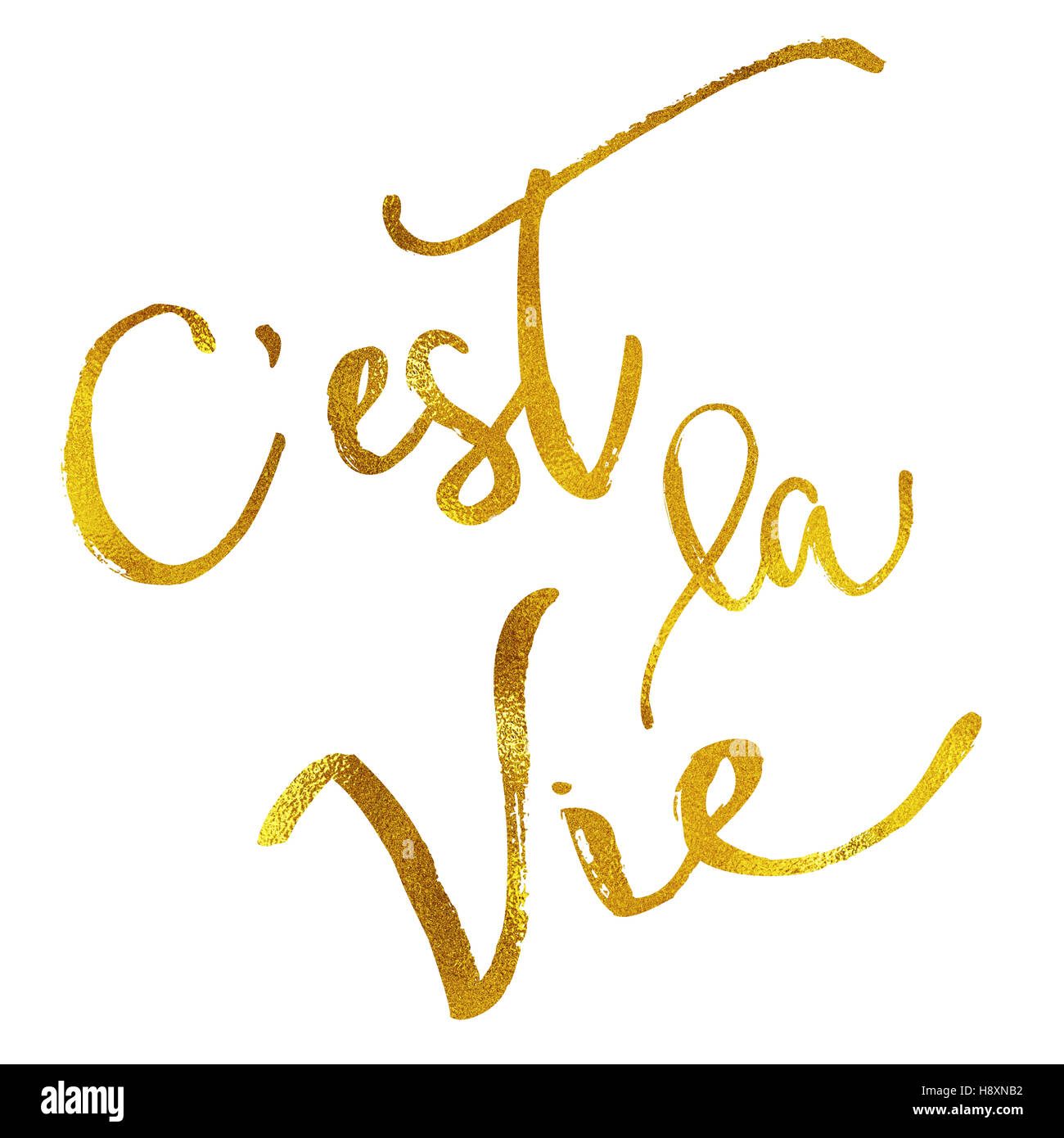 C'est La Vie Gold Faux Foil Metallic Motivational Quote Isolated Stock ...